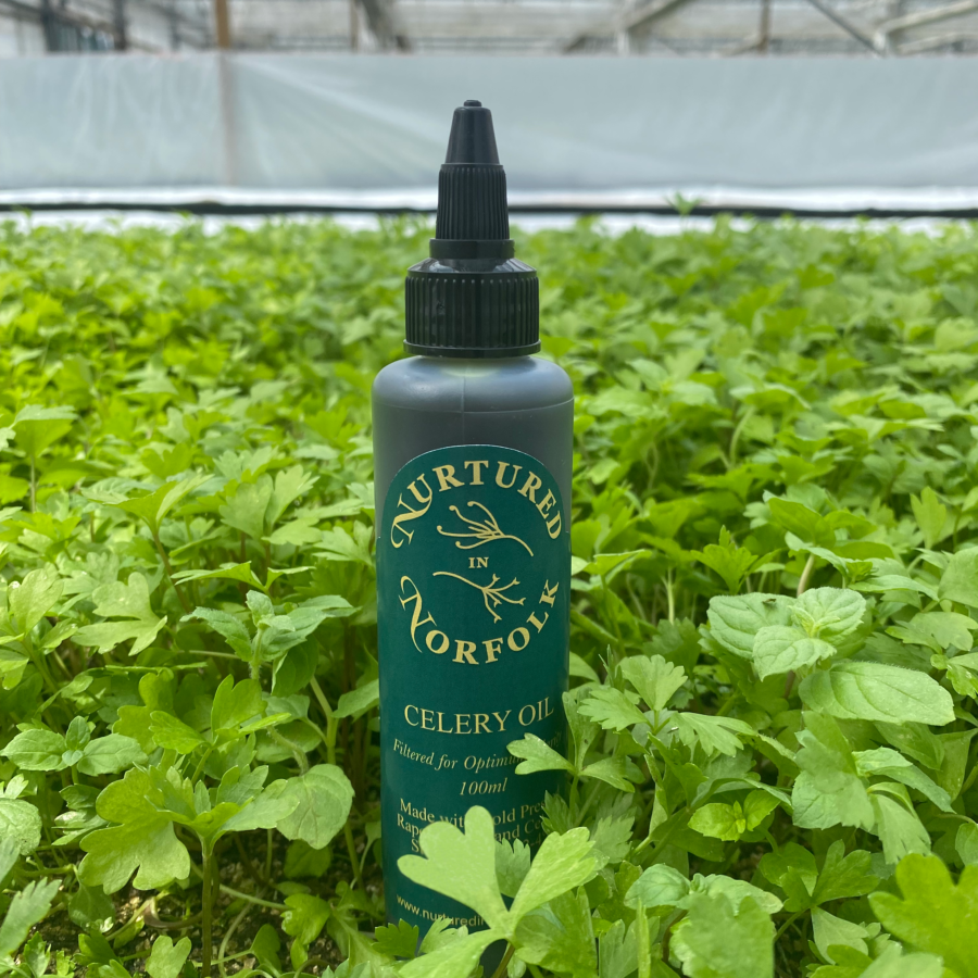 Top 7 Herb Oils for Culinary Use | Nurtured in Norfolk