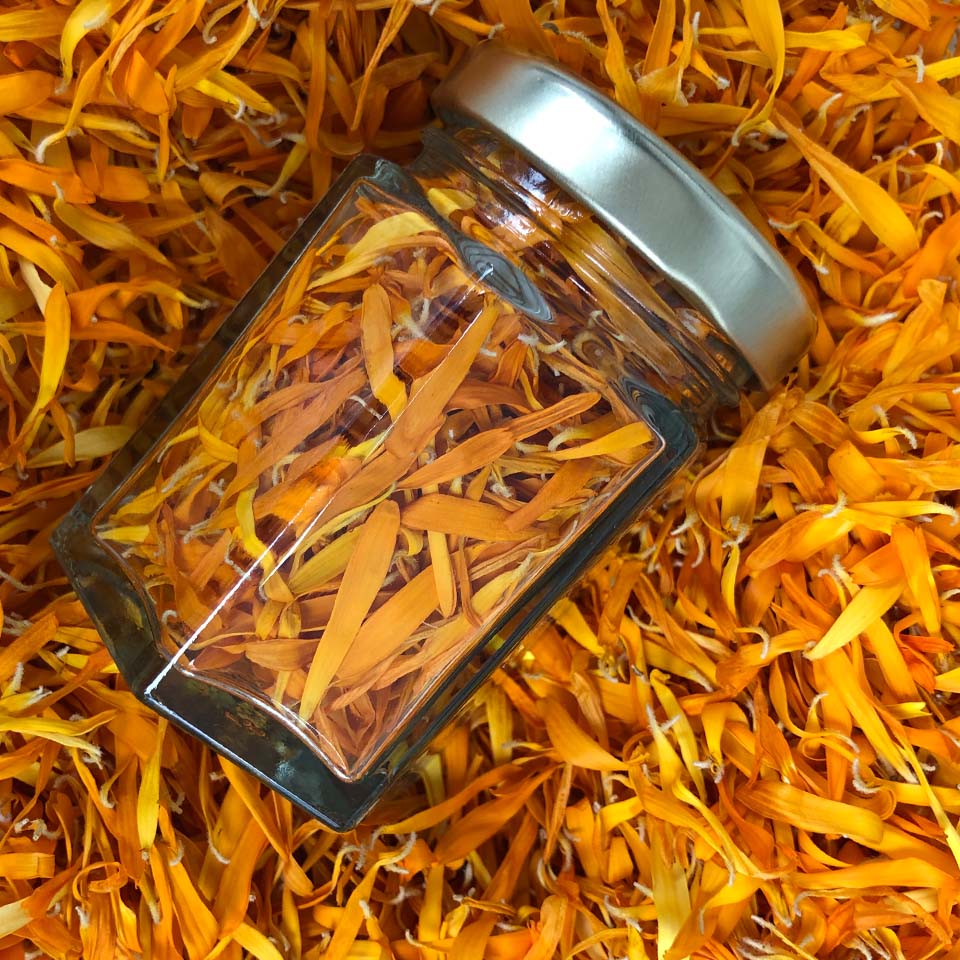 Dried Edible Flowers | Nurtured in Norfolk
