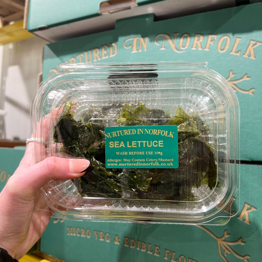 Everything That You Need To Know About Our Sea Vegetables | Nurtured in ...