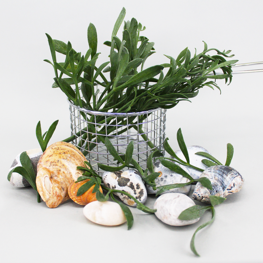 Everything That You Need To Know About Our Sea Vegetables | Nurtured in ...